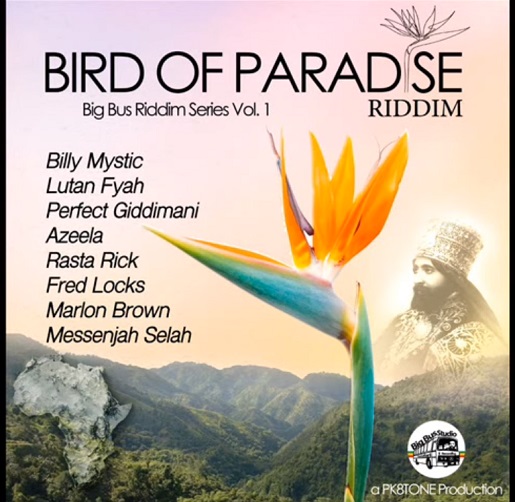 Bird Of Paradise Riddim - Riddimkilla.com