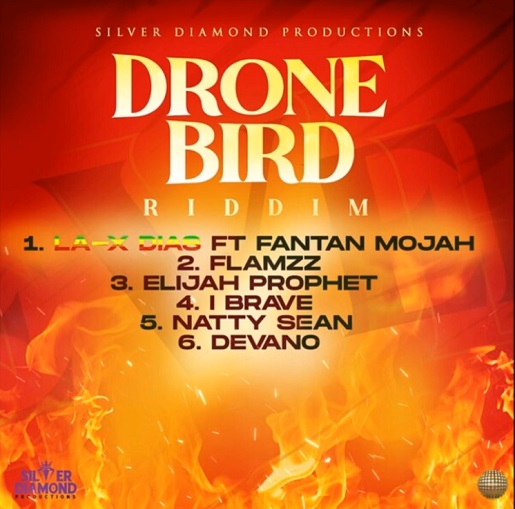 Drone Bird Riddim - Riddimkilla.com